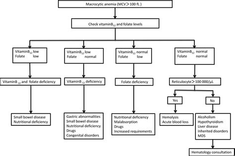 Diagnosis And Treatment Of Macrocytic Anemias In Adults Nagao 2017