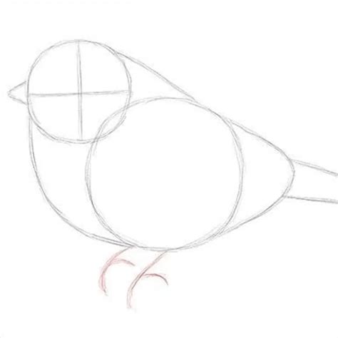 Нарисовать Воробья 51 Фото