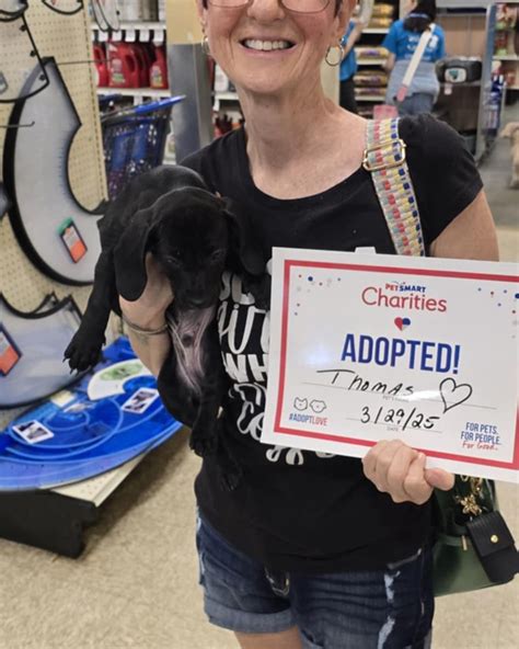 Tara Thomas Now Known As Dutton Has Found His Home Facebook