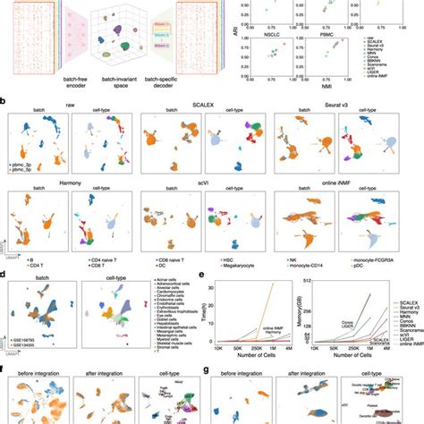 The Design And Performance Of Scalex For Single Cell Data Integration A Download Scientific