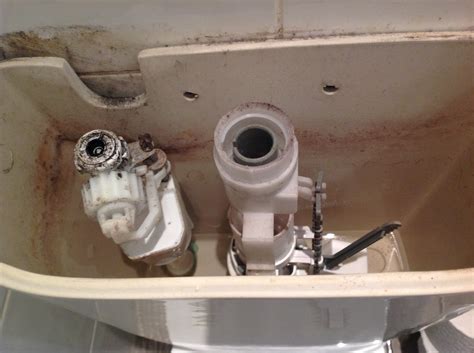 Cistern Slow To Fill Diynot Forums