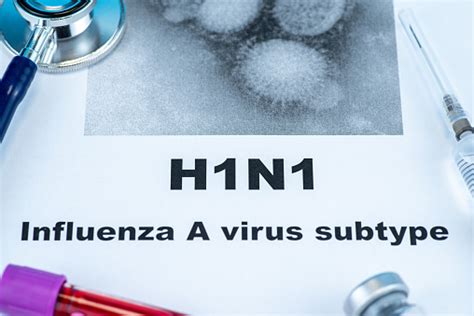 인플루엔자 A 바이러스 아형 H1n1 단어 질병 및 청진기의 클로즈업 의료 건강 개념 0명에 대한 스톡 사진 및 기타 이미지 0명 감기와 독감 개념 Istock