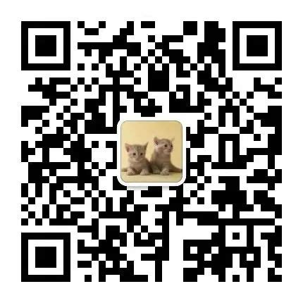 MySQL 连接怎么保活 墨天轮