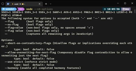 Command Line Flags By The Node Binary Geeksforgeeks