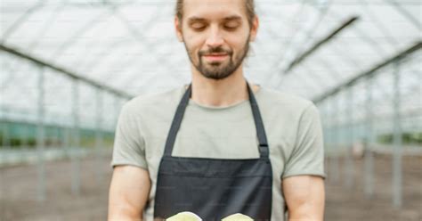 수정을 위해 준비된 경작 토양으로 유리온실에 광물질 비료를 들고 있는 농부 사진 Unsplash의 백인 이미지