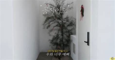 김나영 ♥마이큐 두 아들과 제주도行… “숙소 진짜 비싼 집” ‘노필터tv