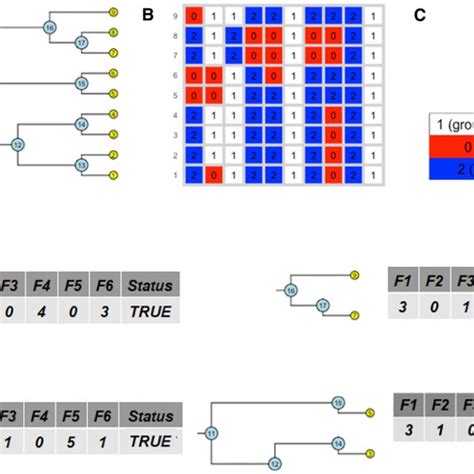 The Ml Approach For Lineage Tree Reconstruction A Ground Truth Download Scientific Diagram