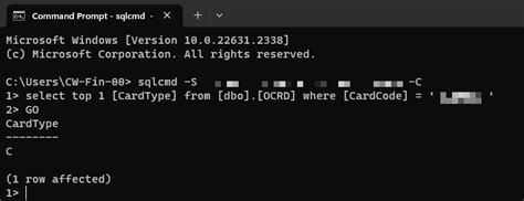 SQLSTATE HY Microsoft ODBC Driver For SQL Server Unicode Conversion Failed Issue