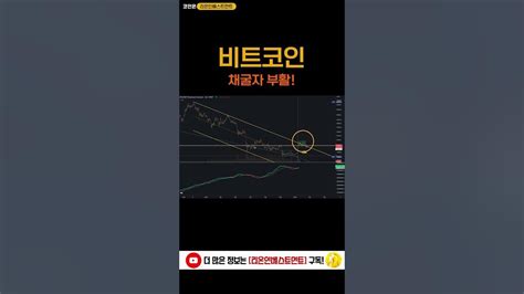 비트코인 채굴자 부활 ※ Youtube