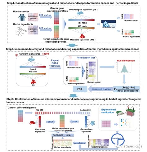 Brief Bioinform 识别靶向癌症免疫微环境和代谢重编程的中药活性成分的算法coimmr开发 智源社区