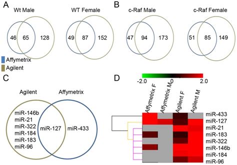 A Shown Is The Venn Diagram Of Detected Mirnas By The Two Different
