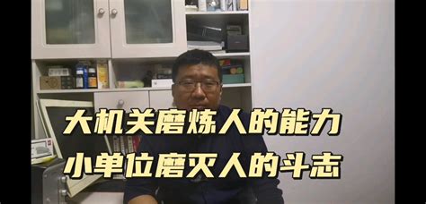在体制内，是不是单位越小就越舒服？如果真那样想，你就错了 职场小咸鱼 职场小咸鱼 哔哩哔哩视频