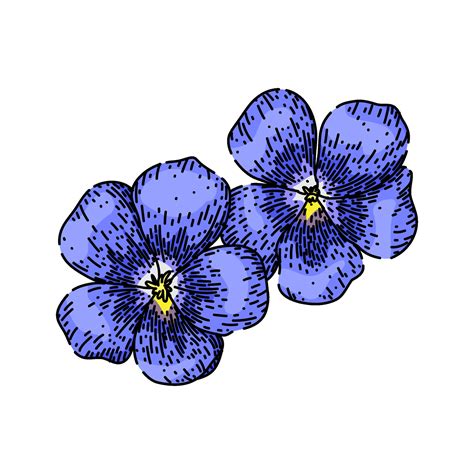Flower Violet Sketch Hand Drawn 47527885 Vector Art At Vecteezy