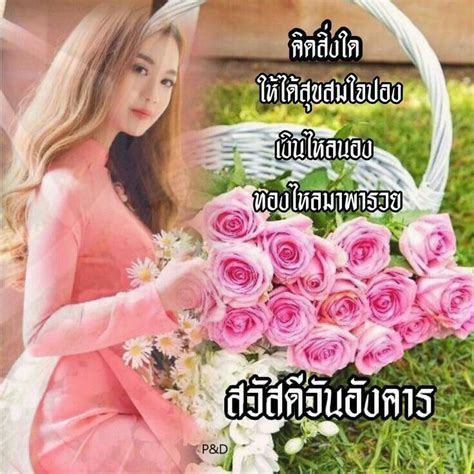 ปักพินโดย ต้นอ้อย 💕🌸🌿🌸💕 ใน วันอังคาร ดอกไม้สีชมพู ดอกกุหลาบสวยๆ ภาพหายาก