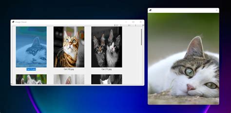 Github Joesatriani10thumbnailviewer A Simple C Thumbnail Viewer To Show Images In Folder