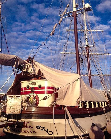 can you find the captain on the boat cocohub digitalnomad malta digitalnomadgirls