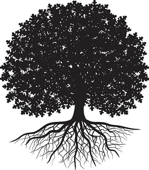 Oak Tree With Roots Drawing