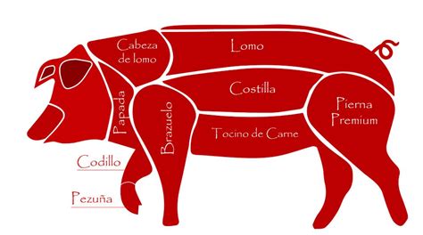 Macxicerdos De Colombia Cortes Primarios De Carne Cerdo