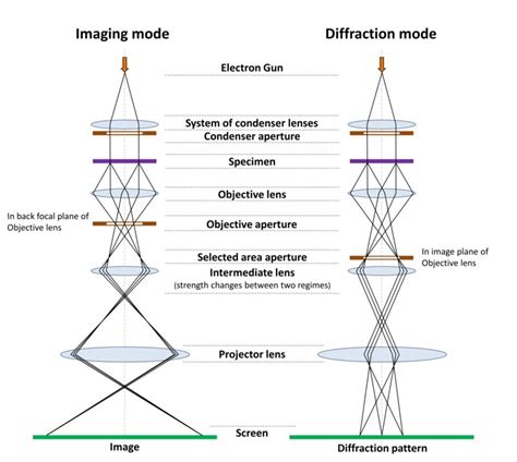 Scanning Electron Microscope Ray Diagram