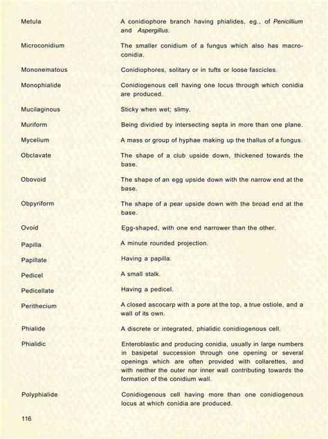 Metula Microconidium Mono