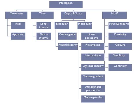 Perception Students Helping Blog