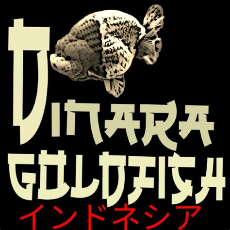 Produk Dinara🐡 Shopee Indonesia