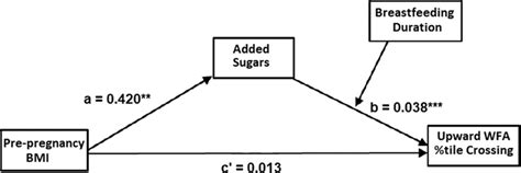 Breastfeeding Duration Moderated The Mediating Effect Of Added Sugar Download Scientific