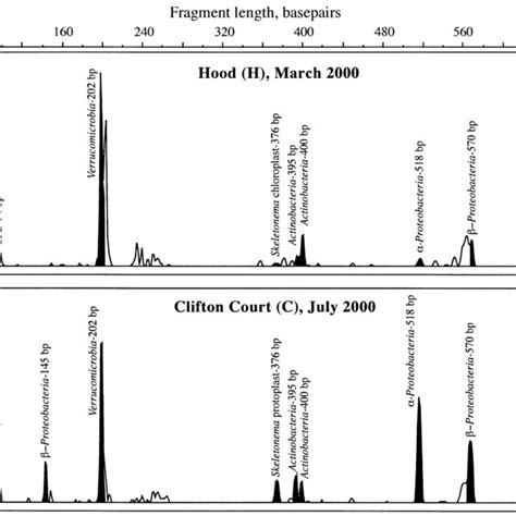 Examples Of Environmental T Rflp Profiles Upper Panel March 2000 Stn Download Scientific