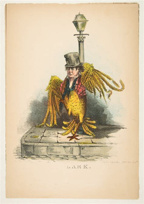 Henry Louis Stephens Lark From The Comic Natural History Of The