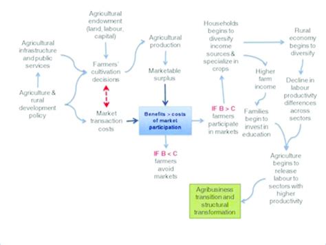 1 Conceptual Framework Of The Analysis Download Scientific Diagram