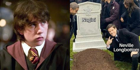 Harry Potter 10 Memes That Perfectly Sum Up Neville As A Character