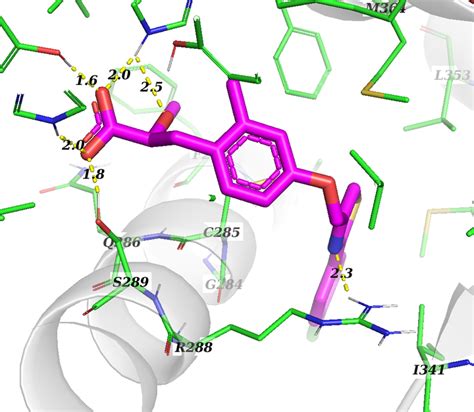 Pymol自动化显示小分子 蛋白相互作用 知乎