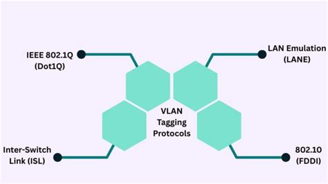 What Is Vlan Tagging Cisco An Introduction To Ieee 802 1q