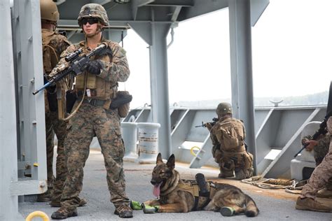 Dvids Images Maritime Raid Force Conducts Vbss Training At Fort Eustis [image 2 Of 10]