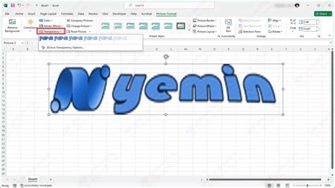 How To Create A Transparent Picture In Excel Ms Excel