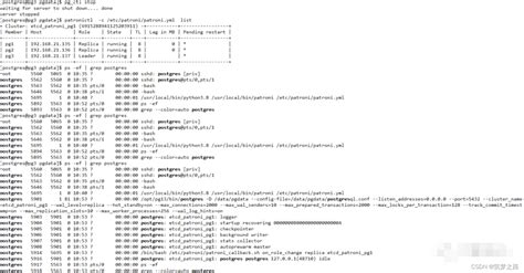 基于patroni etcd 流复制搭建postgresql高可用——筑梦之路 patroni etcd csdn博客