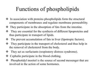 BIOSYNTHESIS OF PHOSPHOLIPIDS Pptx