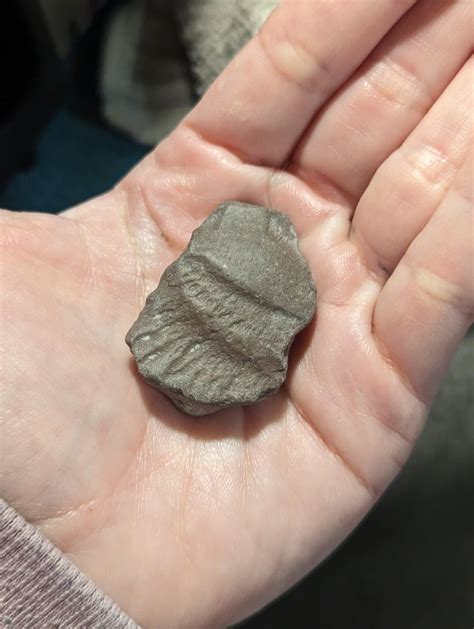 Is This A Fossil Impression Or Just Weird Erosion Found In Va Usa R