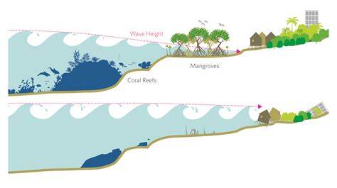 The Global Value Of Mangroves For Risk Reduction Coastal Resilience