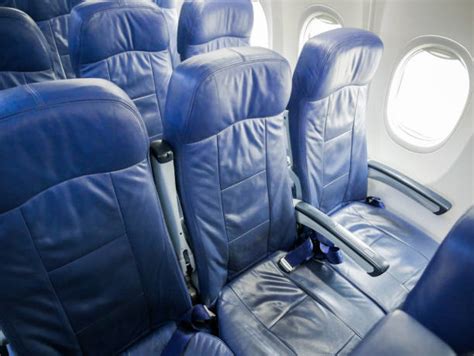 飛機座椅 圖畫、圖片和照片檔 Istock