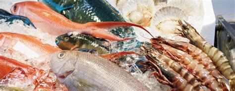 Names Of Marine Products In Japan And Other Countries Newsletter