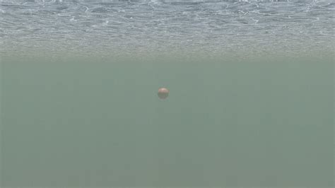A Scientific Approach Towards Modelling Ocean Water In Blender Works In Progress Blender