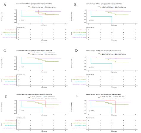 Figure S5 Overall Survival Analysis Survival Analysis Of Nphs1