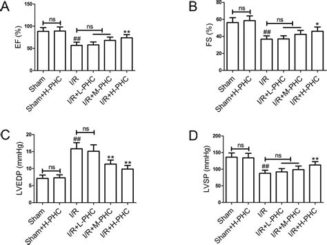 Effects Of Phc On Cardiac Function A Ef B Fs C Lvedp D