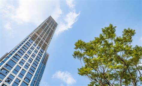 How To Spot Ecosystem Collapse Three Signs The Good Men Project