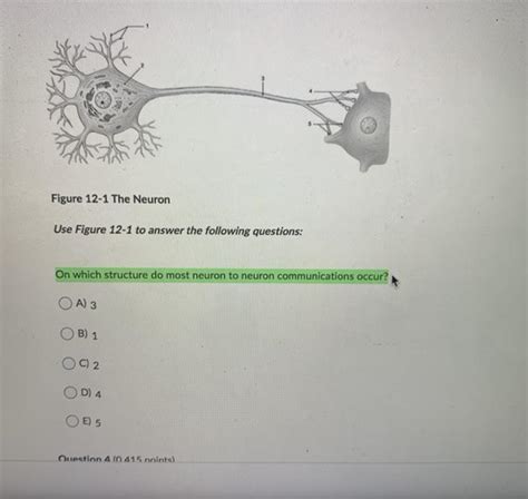 Solved Figure 12 1 The Neuron Use Figure 12 1 To Answer The