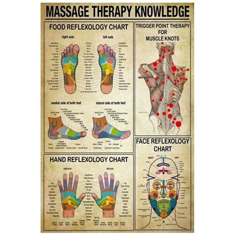 Massage Therapy Knowledge Foot Reflexology Chart Trigger Point Tiktok