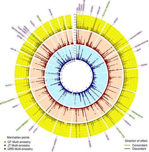 Circular Manhattan Plot For Qt Jt And Qrs Multi Ancestry