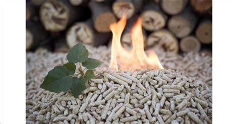Biomass Solid Fuel Market Share Growth Prospects 2022 Revenue Global