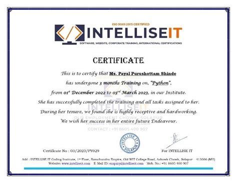 Internshipcompleted Pythonprogramming Problemsolving Codingjourney Payal Shinde
